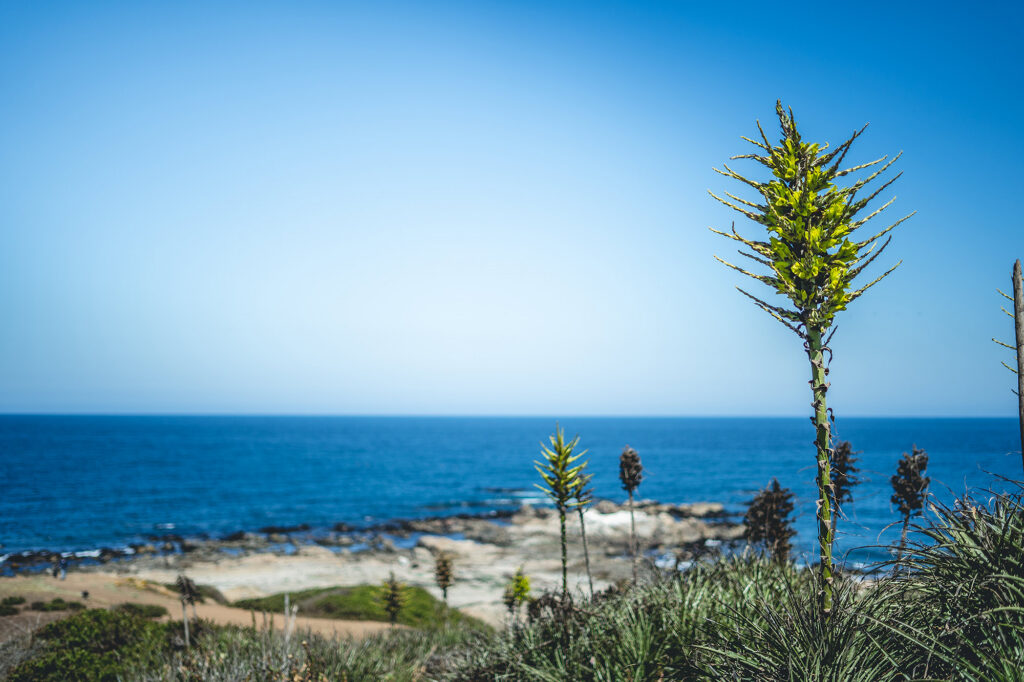 Descubre Algarrobo – El lugar donde podrás conocer las bellezas y ...